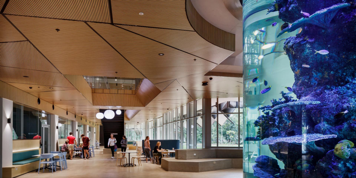 James Cook University - Higher Education Case Study | Pexip